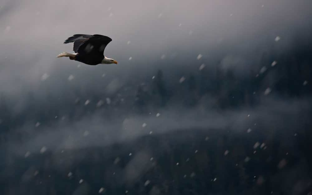 Indigenous Business & Economic Development | Ratcliff