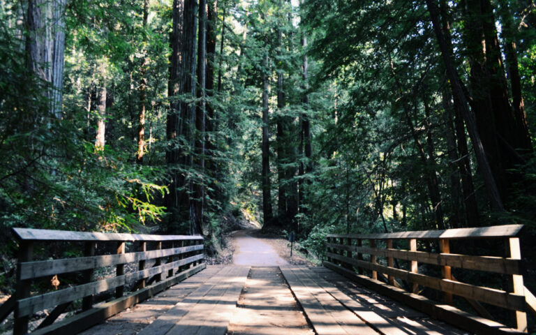 First Nations Consultation, Negotiation and Accommodation | Ratcliff