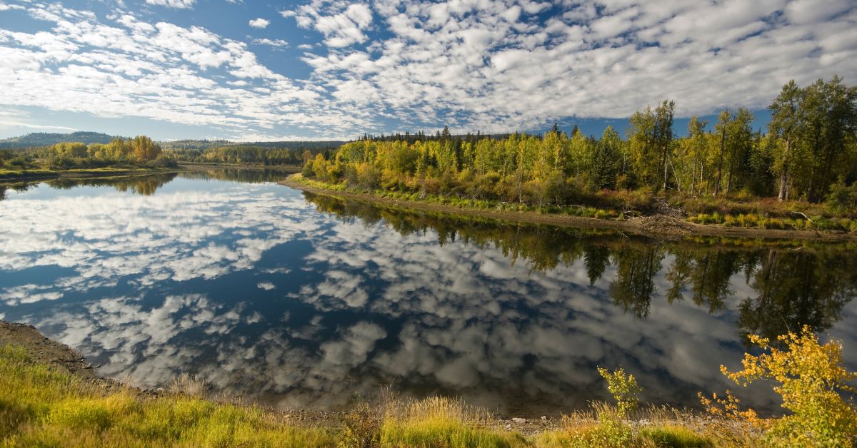 Saik’uz and Stellat’en First Nations Secure Groundbreaking Decision for ...